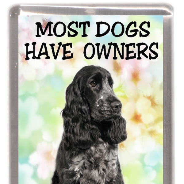 Blue Roan English Cocker Spaniel Gifts - 60+ Gift Ideas for 2024