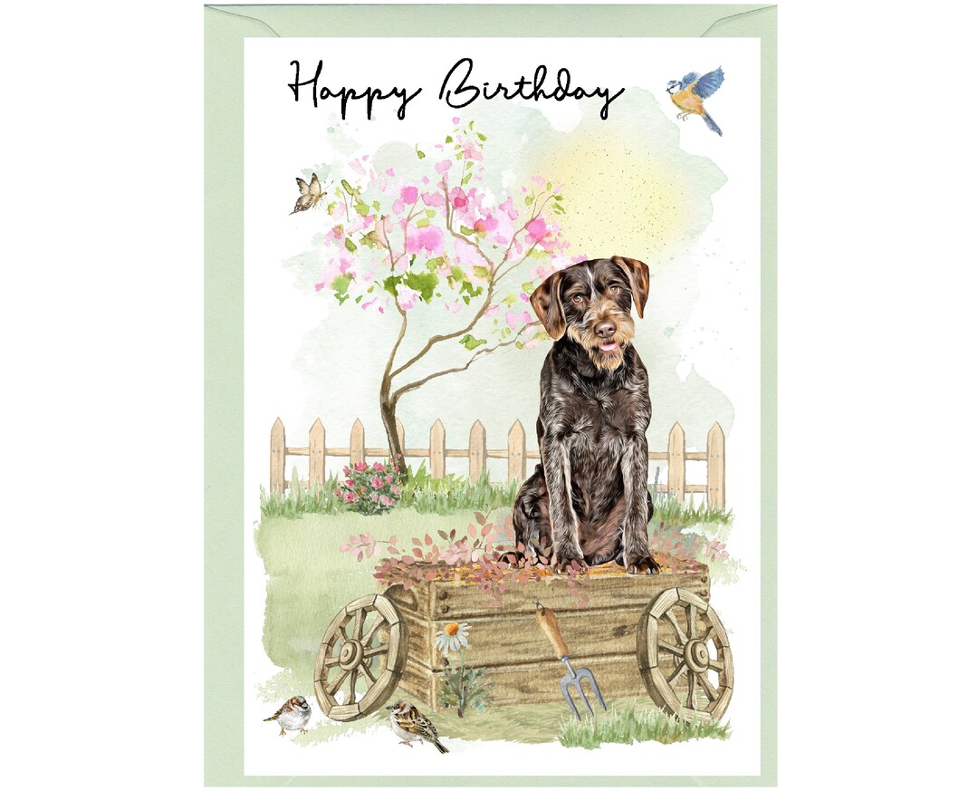 German Wire Haired Pointer Dog "happy Birthday" Card (6"x 4") With ...