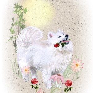 Samoyed Dog Blank Card /notelet (6" X 4") With Envelope - Ideal Mothers ...
