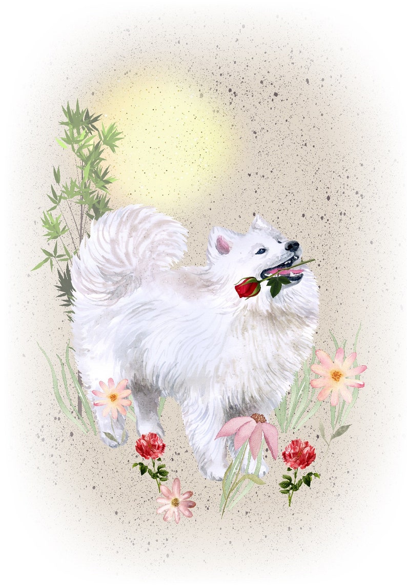 Samoyed Dog Blank Card /Notelet 6 x 4 with | Etsy