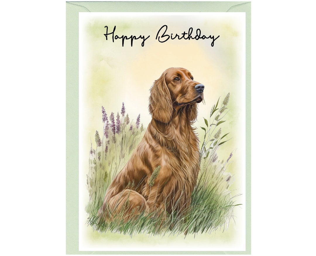 Irish Red Setter Dog "happy Birthday" Card (6" X 4") With Envelope ...