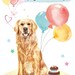 Golden Retriever Dog happy Birthday Card 6 X 4 With Envelope Blank ...