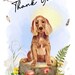 Cocker Spaniel Dog "thank You" Card (6" X 4") With Envelope - Blank ...