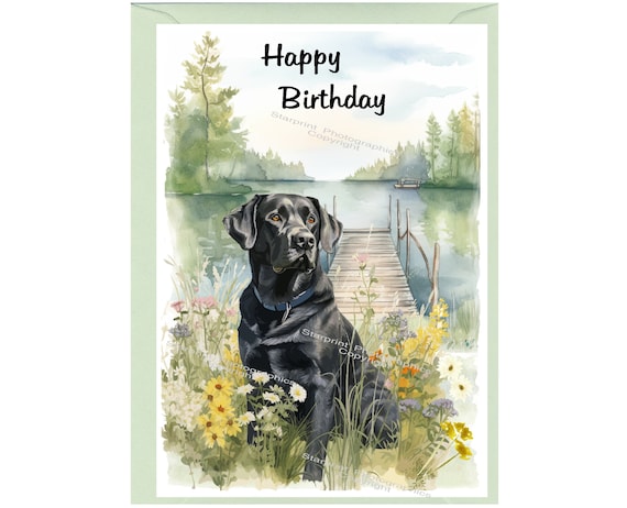 Happy Birthday Labrador Retriever