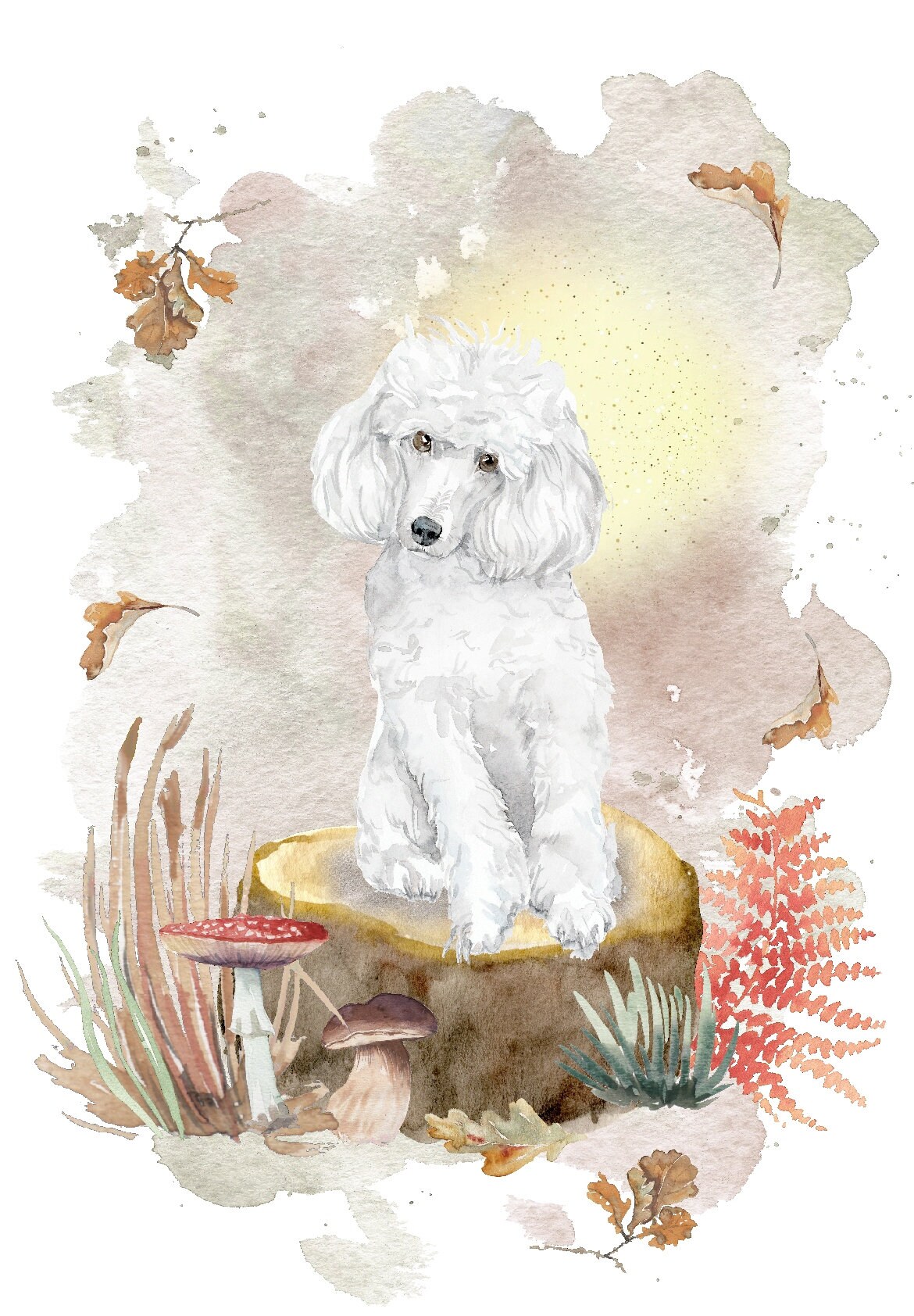Personalised Poodle (white) Dog Greetings Card /notelet (6" X 4") With ...