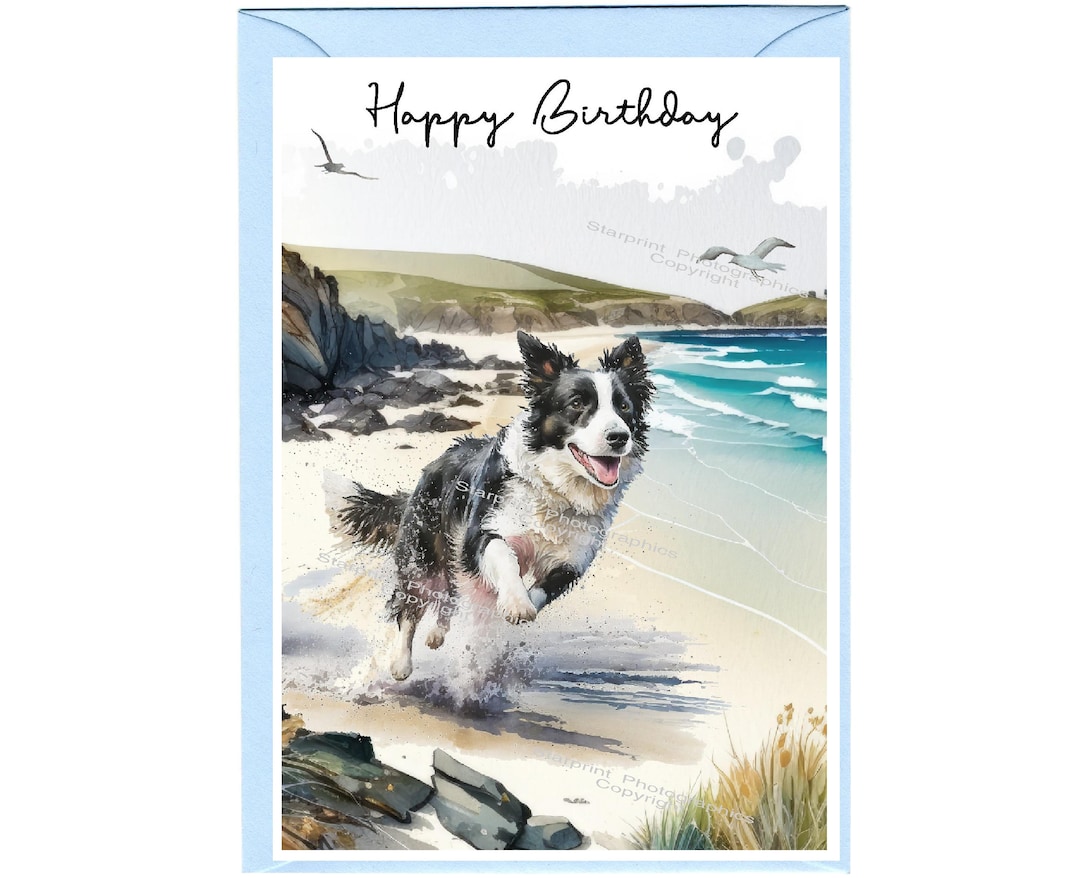 Border Collie Dog "happy Birthday" Card (6" X 4") With Envelope - Blank ...