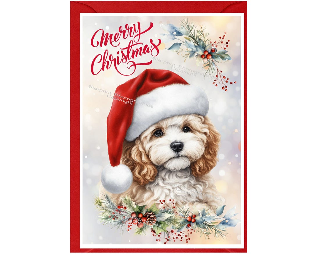 Cavachon / Doodle, Cockapoo Dog Christmas Card (6" X 4") Blank Inside ...