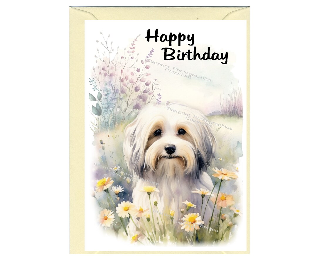 Havanese Dog happy Birthday Card 6x 4 With Envelope. Blank Inside for ...