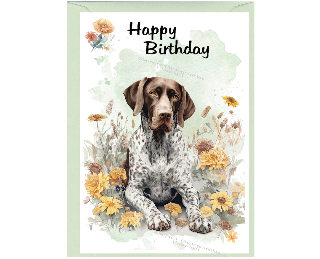 German Shorthaired Pointer Dog "happy Birthday" Card (6"x 4") With ...