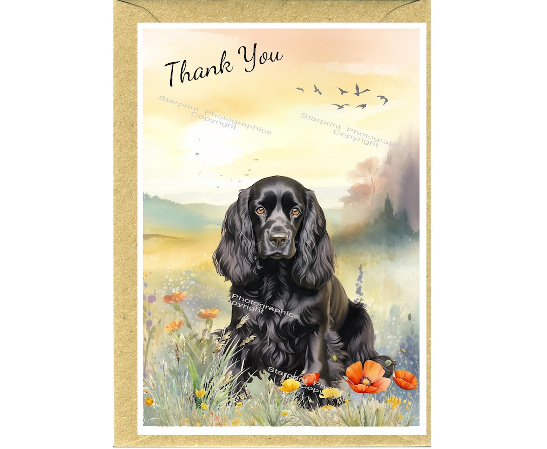 Cocker Spaniel Black Dog "thank You" Card (6" X 4") With Envelope ...