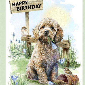 Cockapoo / Doodle Dog "happy Birthday" Card (6" X 4") With Envelope ...