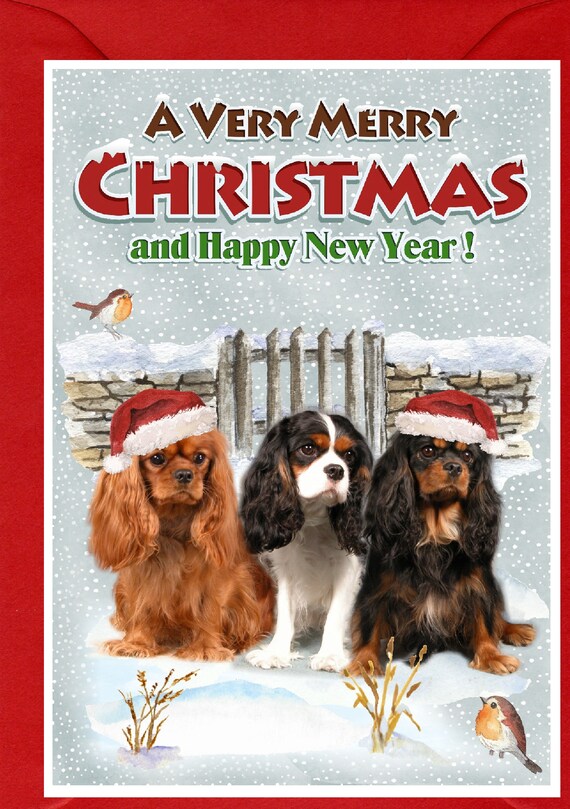Cavalier King Charles Christmas Cards Buy: Christmas Snowflakes