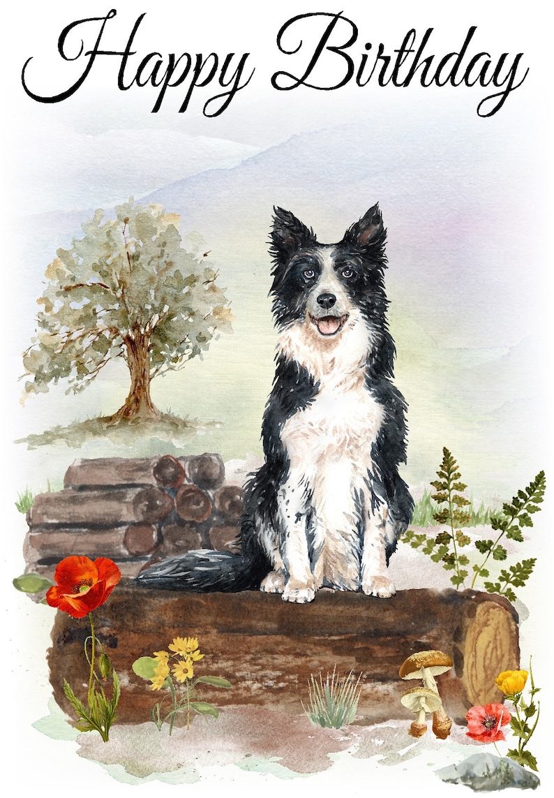 Border Collie Dog "happy Birthday" Card (6"x 4") With Envelope. Blank ...