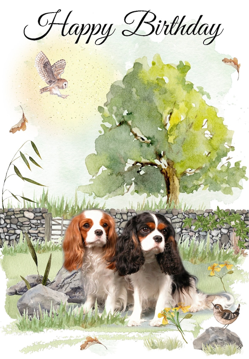 Cavalier King Charles Spaniel Dog "happy Birthday" Card (6" X 4") With ...
