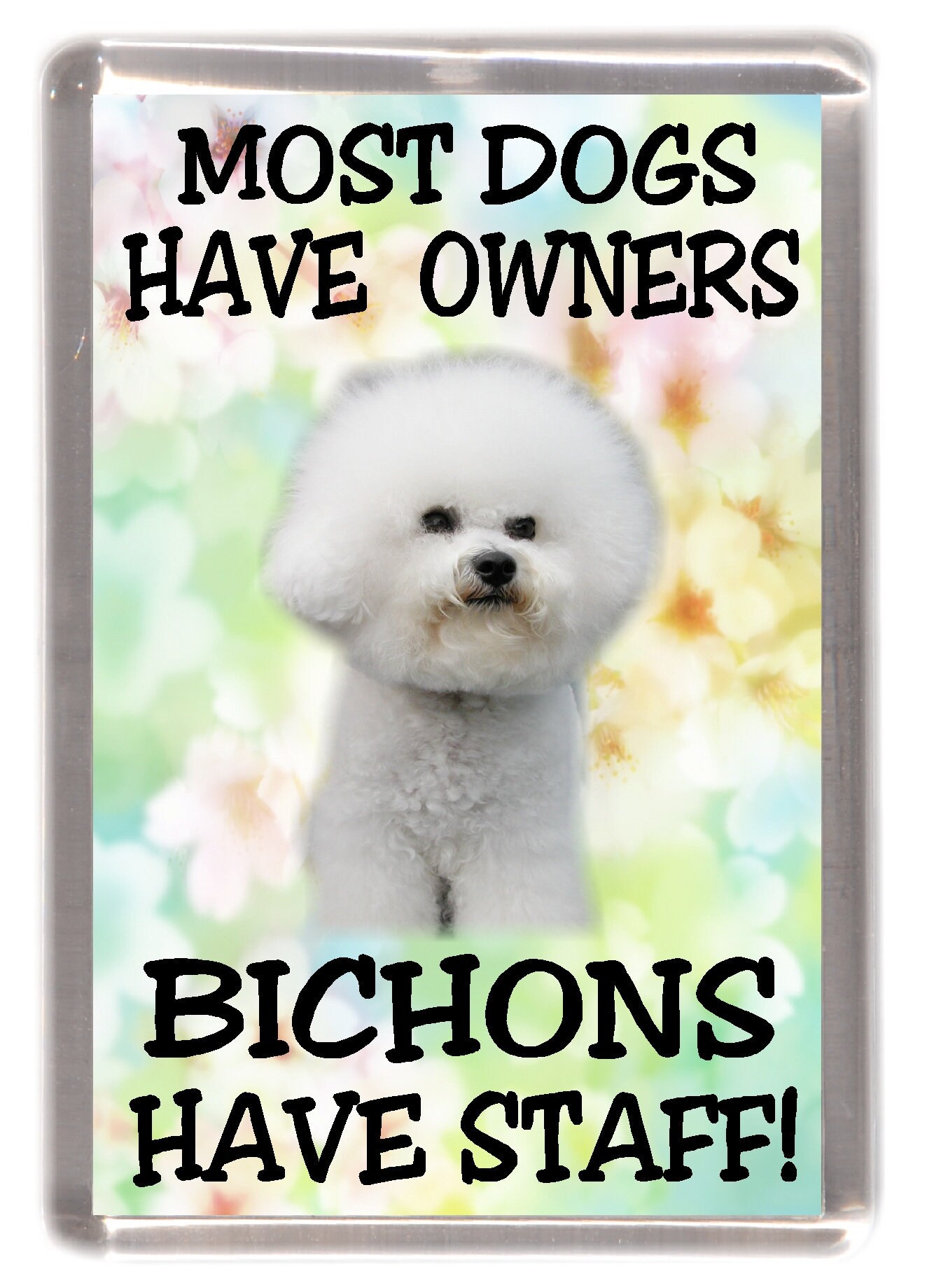 Bichon Frise Dog Fridge Magnet - Most Dogs Have Owners Bichons Have ...