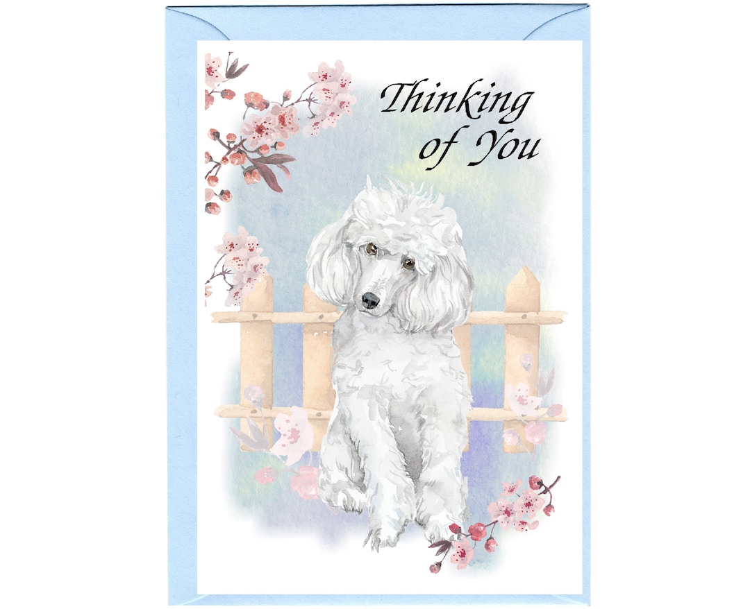 Poodle (white) Dog "thinking of You" Card (6" X 4") With Envelope ...