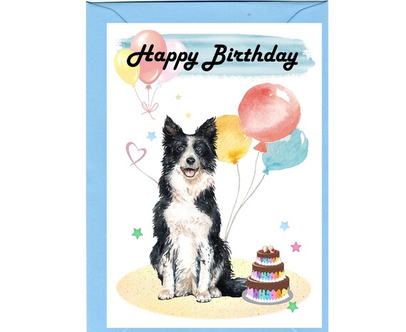 Border Collie Dog happy Birthday Card 6 X | Etsy