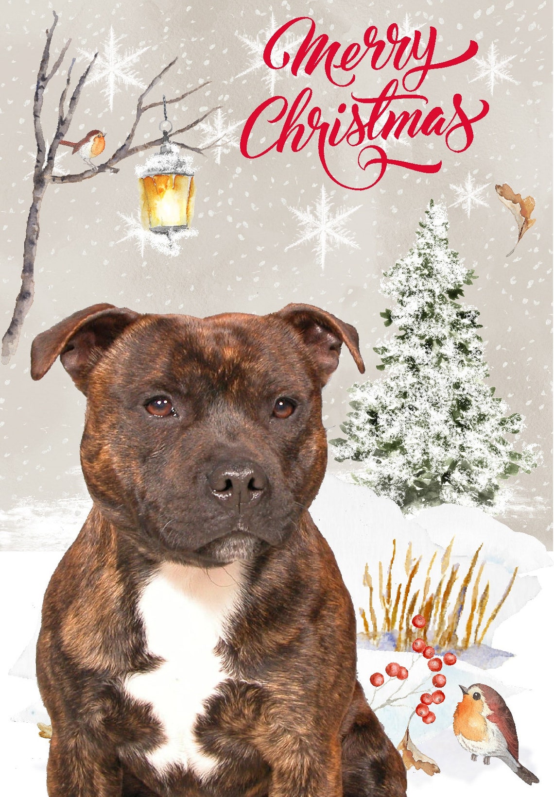 Staffordshire Bull Terrier Dog Christmas Card (6" X 4") Blank Inside ...
