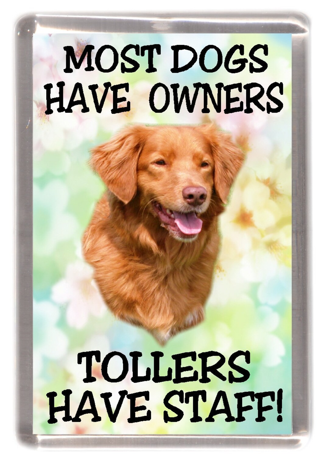Nova Scotia Duck Tolling Retriever Dog Fridge Magnet - Most Dogs Have ...