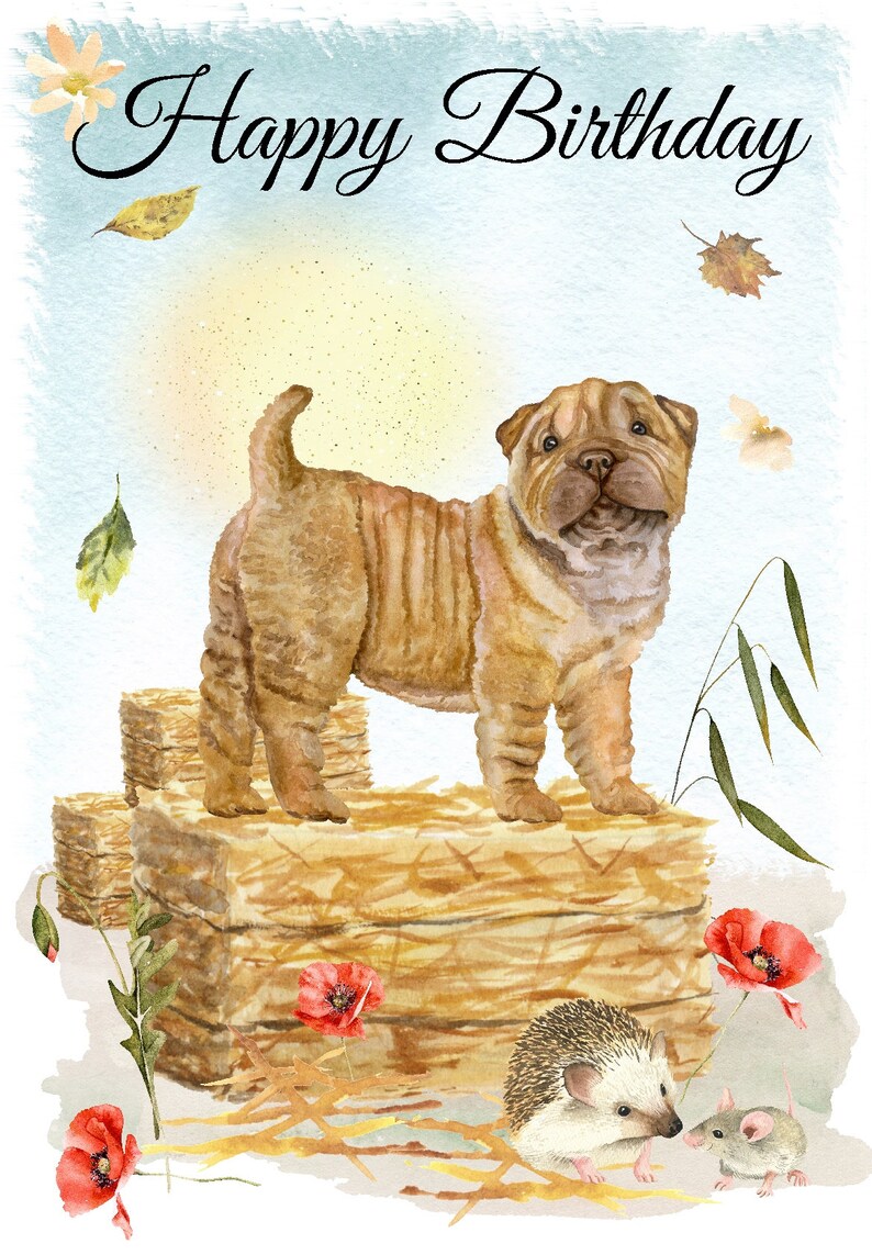Shar Pei Dog happy Birthday Card 6x - Etsy