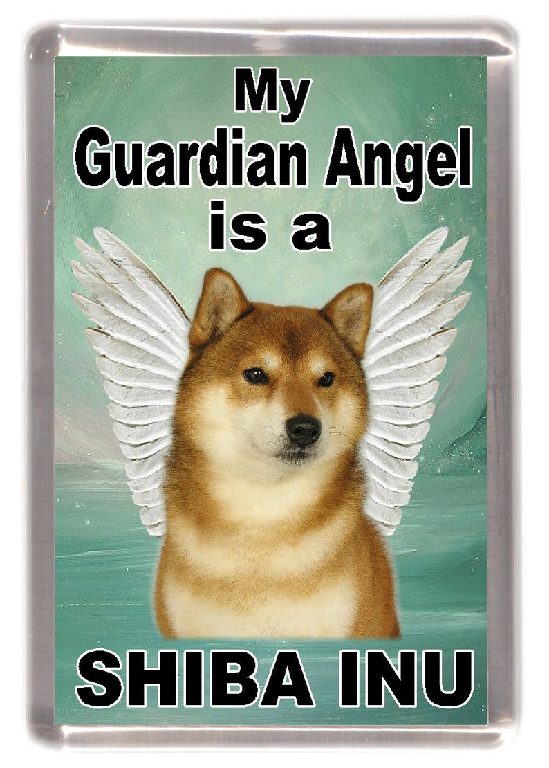 Shiba Inu Dog Fridge Magnet "my Guardian Angel is a Shiba Inu". Great ...
