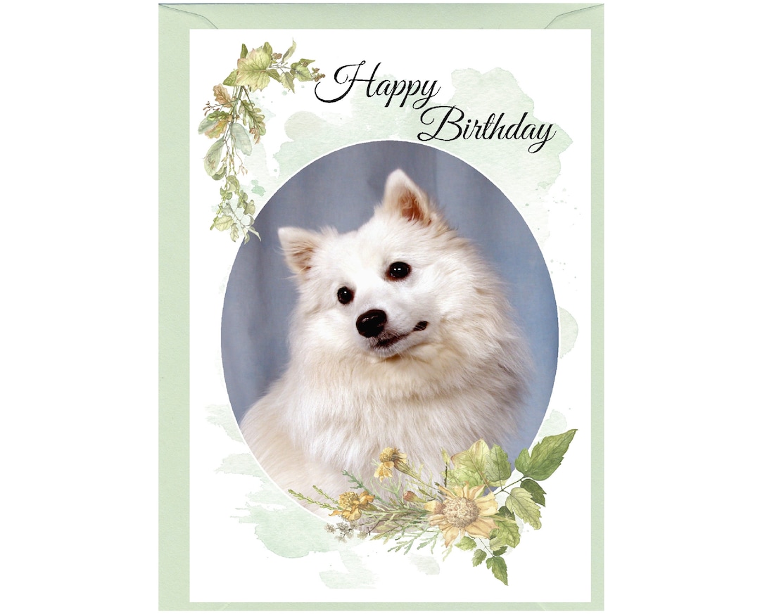 Japanese Spitz Dog Birthday Card 6 X 4 With - Etsy UK