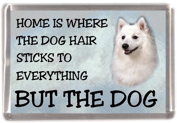 Are Bones Easily Digested By A Japanese Spitz