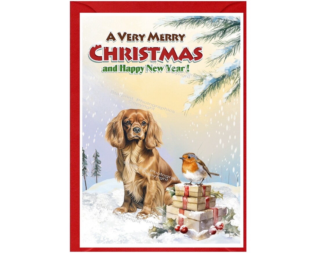 Cavalier King Charles Spaniel (ruby) Dog Christmas Card (6" X 4") Blank ...