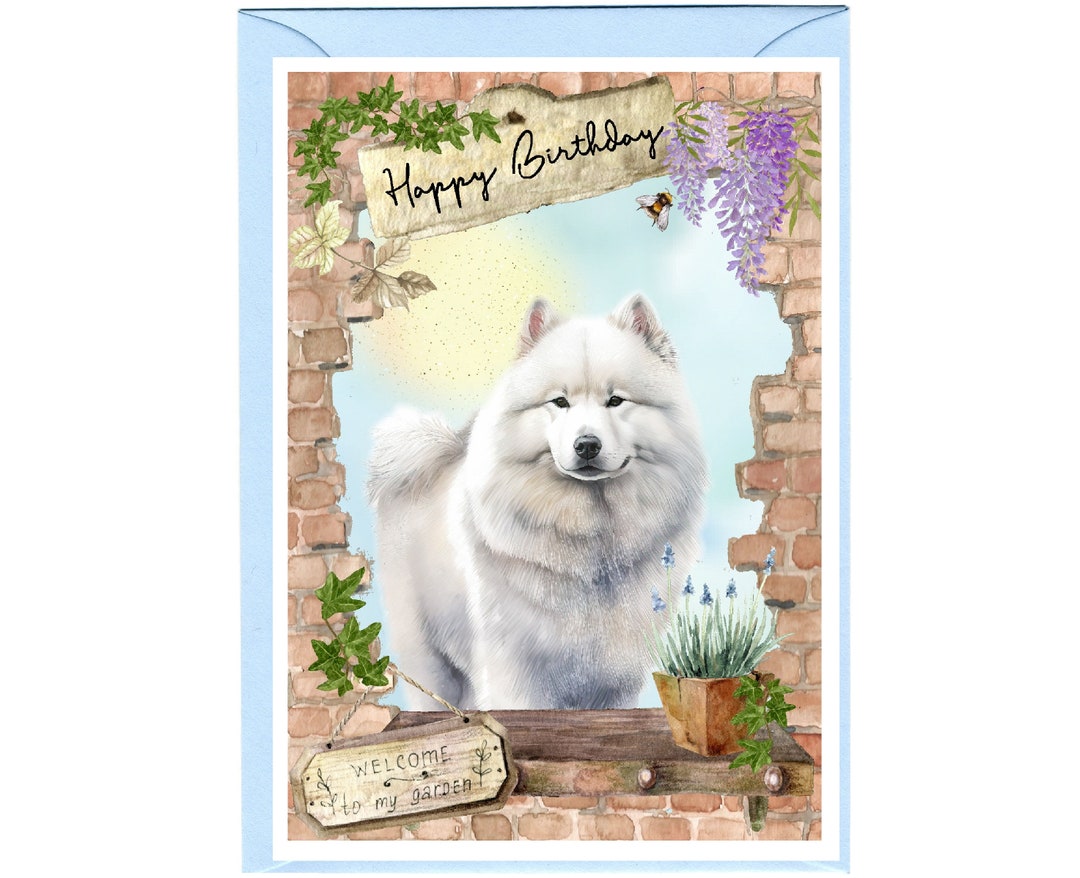 Samoyed Dog "happy Birthday" Card (6" X 4") With Envelope - Blank ...