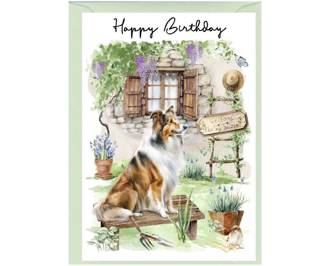 Rough Collie Dog "happy Birthday" Card (6"x 4") With Envelope. Blank ...