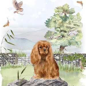 Cavalier King Charles Spaniel (ruby) Dog "happy Birthday" Card (6" X 4 ...