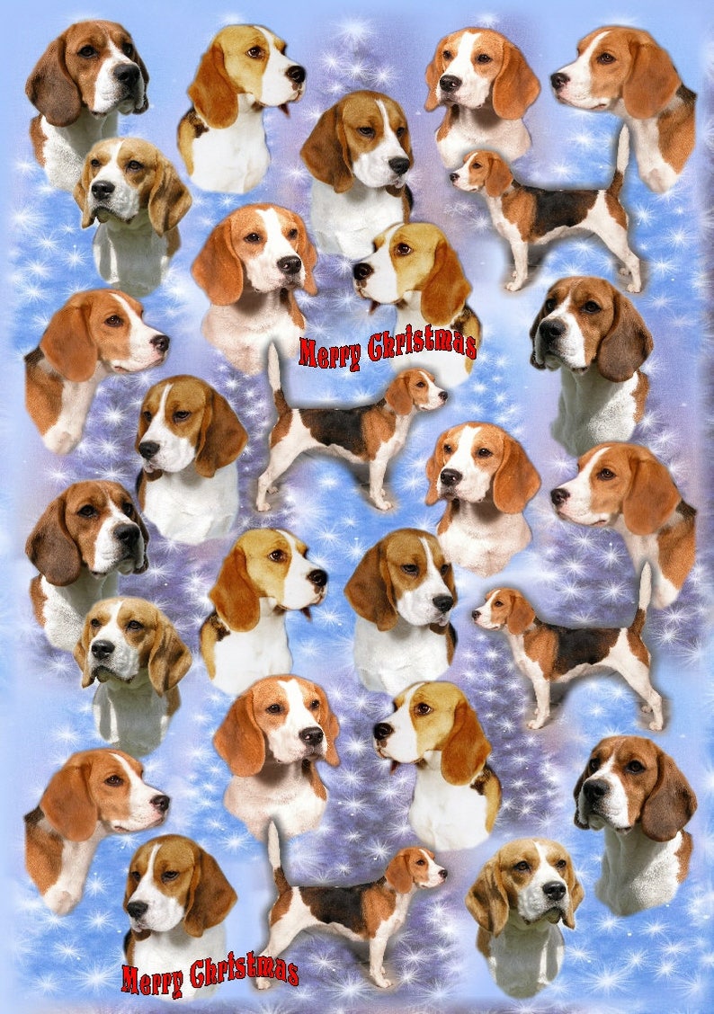 Beagle Hound Dog Christmas Gift Wrapping Paper. - Etsy