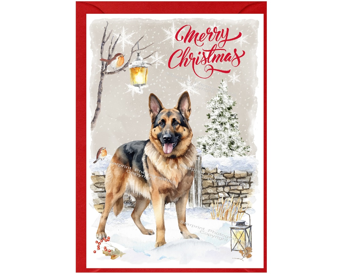 German Shepherd Dog Christmas Card (6" X 4") Blank Inside - With ...