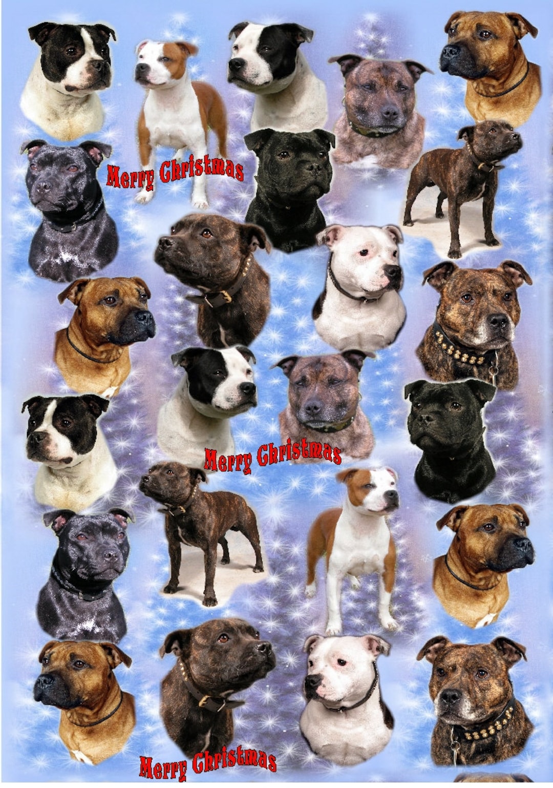 Staffordshire Bull Terrier Dog / Staffie Christmas Gift Wrapping Paper ...