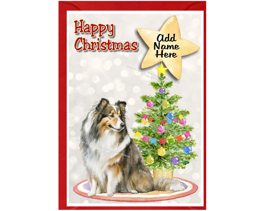 Personalised Shetland Sheepdog / Sheltie Dog Christmas Card (6" X 4 ...