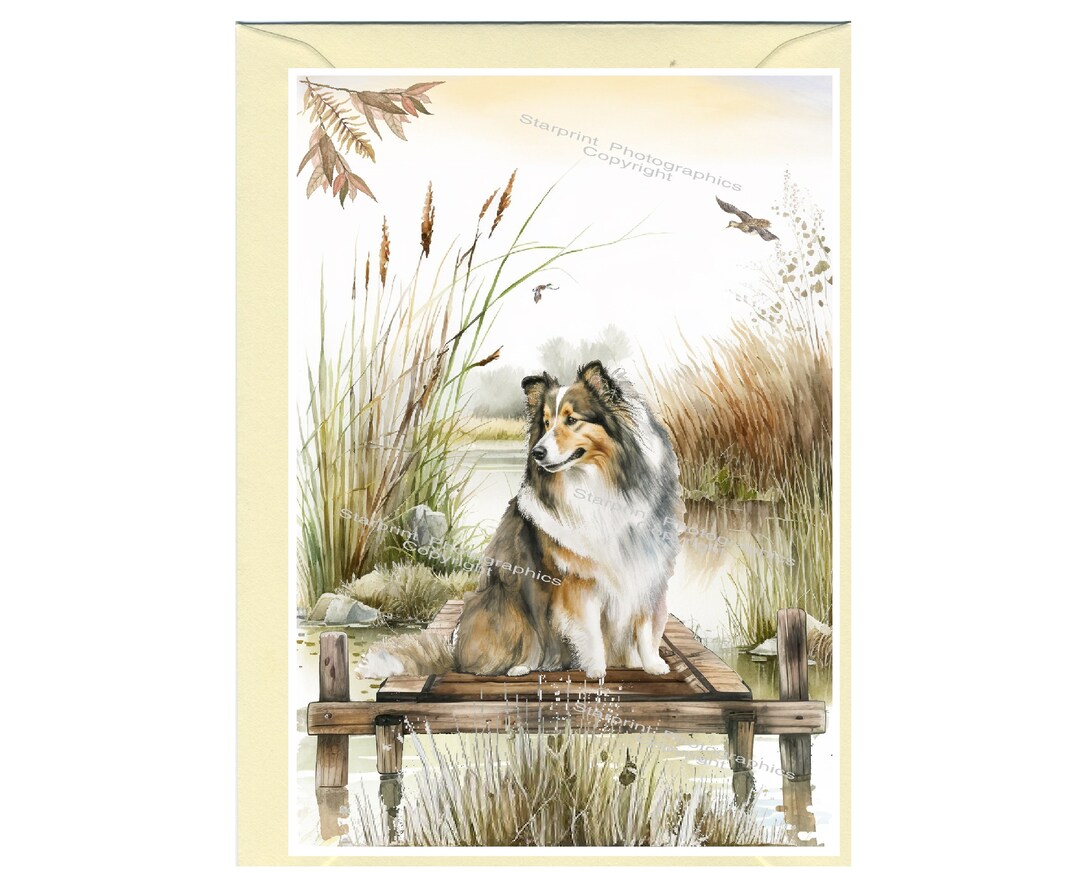 Personalised Shetland Sheepdog / Sheltie Greetings Card /notelet (6" X ...