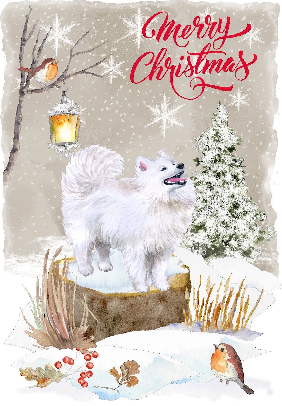 Samoyed Dog Christmas Card 6 X 4 Blank Inside - Etsy