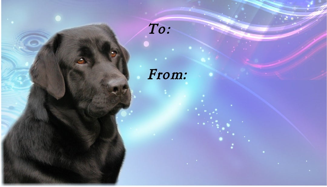 Black Labrador Retriever Dog Gift Labels, Peel Off, Self Adhesive, 2 ...