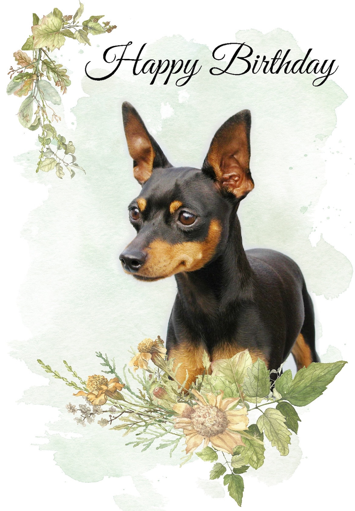 Miniature Pinscher Dog "happy Birthday" Card (6"x 4") With Envelope ...