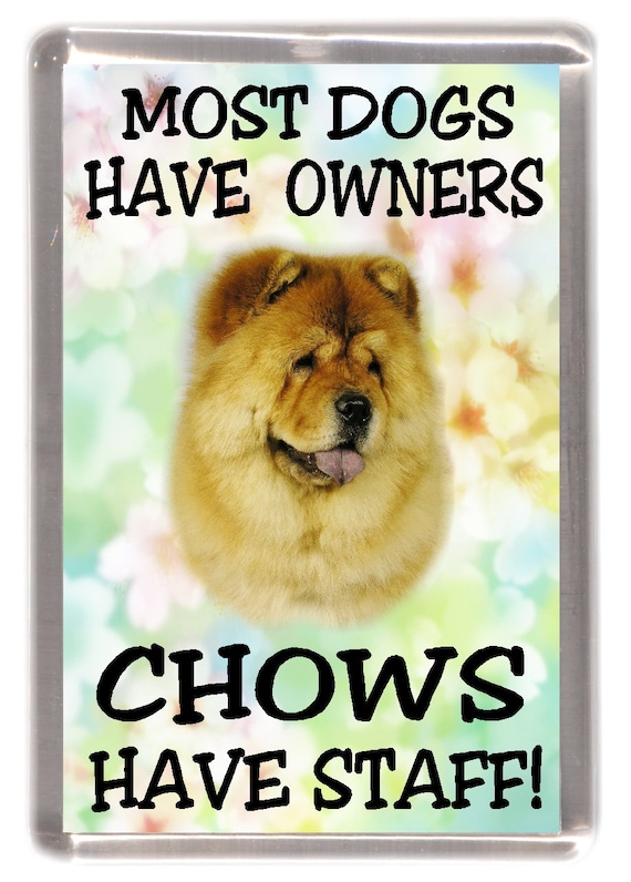 Chow Chow Meme