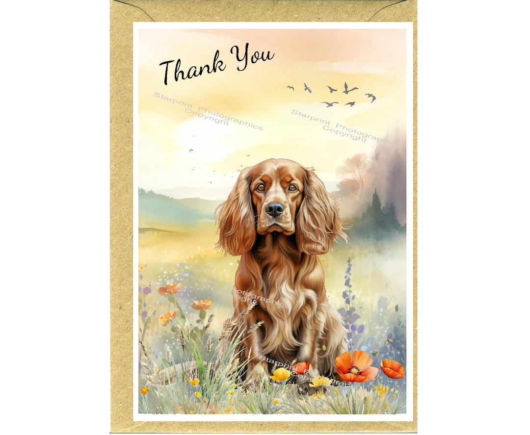 Cocker Spaniel Gold Dog "thank You" Card (6" X 4") With Envelope ...