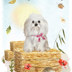 Maltese Dog "happy Birthday" Card (6"x 4") With Envelope. Blank Inside ...