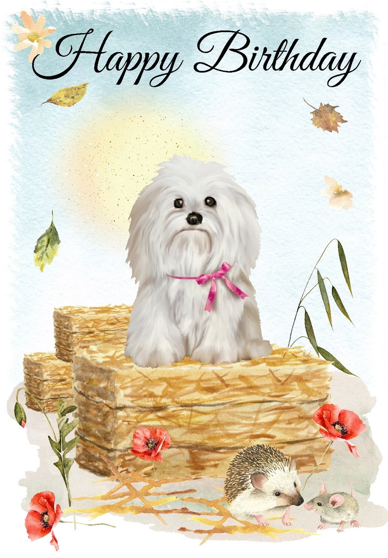 Maltese Dog happy Birthday Card 6x 4 - Etsy