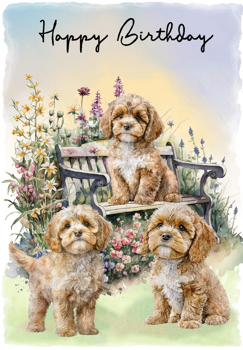 Cavapoo / Doodle Dog happy Birthday Card 6 - Etsy UK