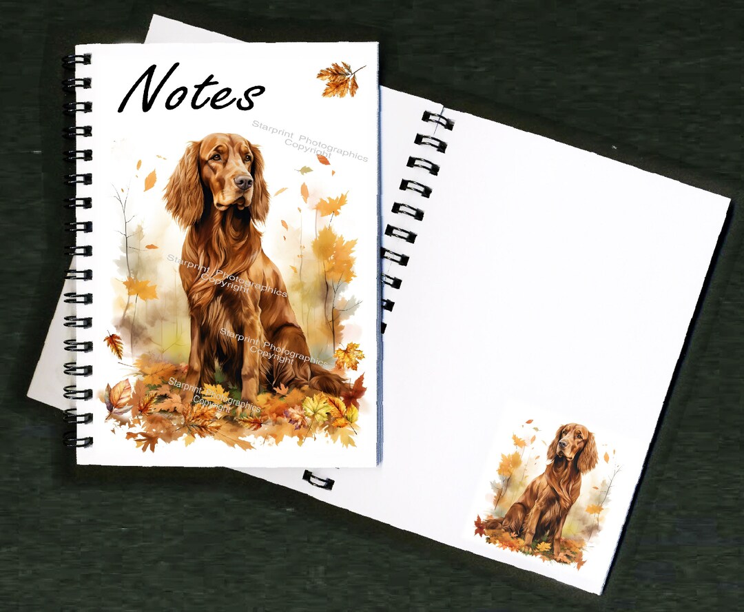 Irish Setter Dog Notebook / Notepad With Picture on Each Page - Great ...