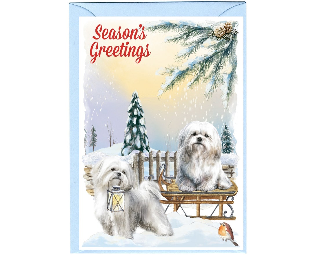 Maltese Dog Christmas Card (6" X 4") Blank Inside - With Envelope ...