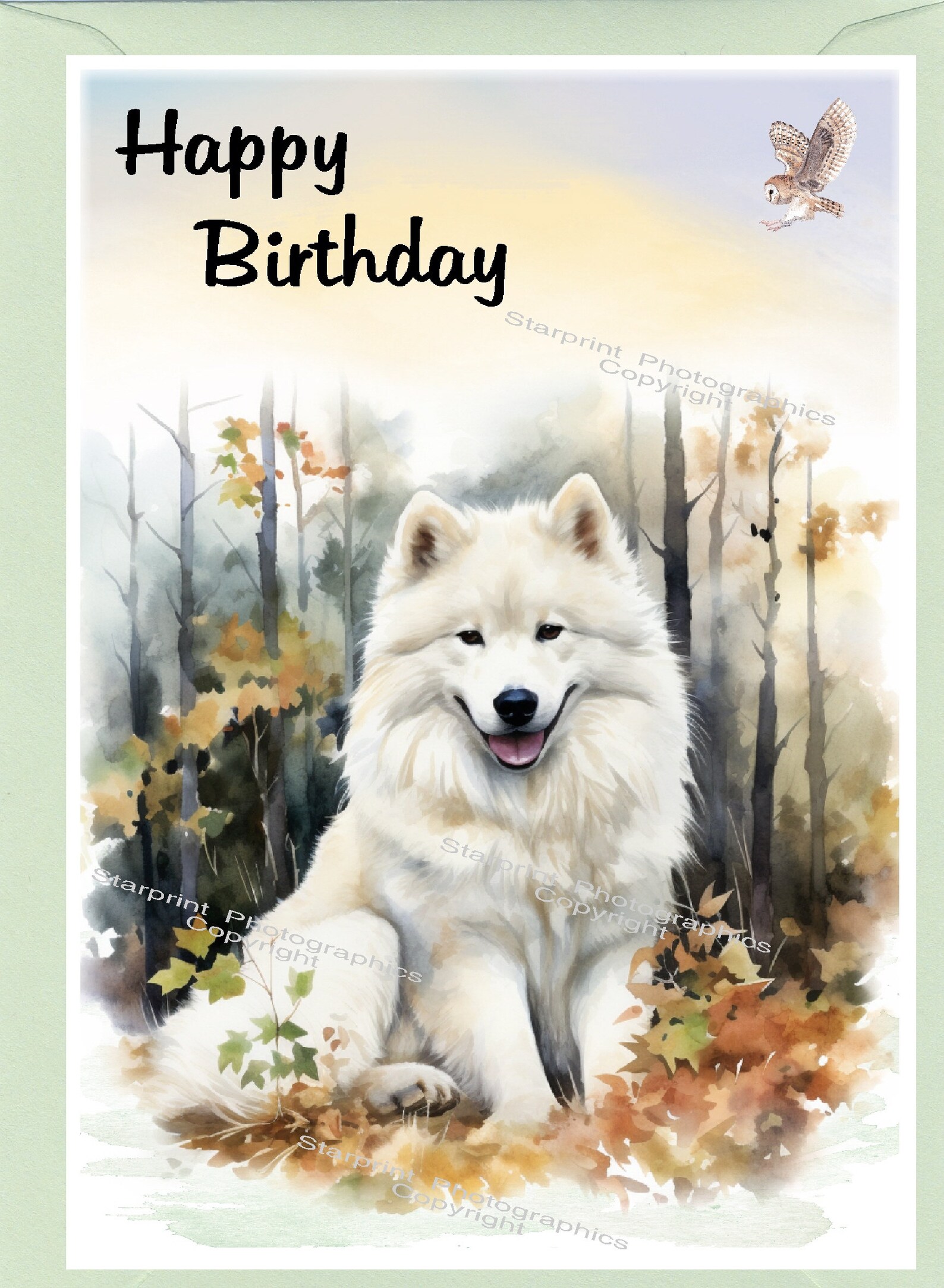 Samoyed Dog "happy Birthday" Card (6" X 4") With Envelope - Blank ...