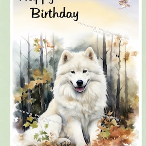 Samoyed Dog "happy Birthday" Card (6" X 4") With Envelope - Blank ...