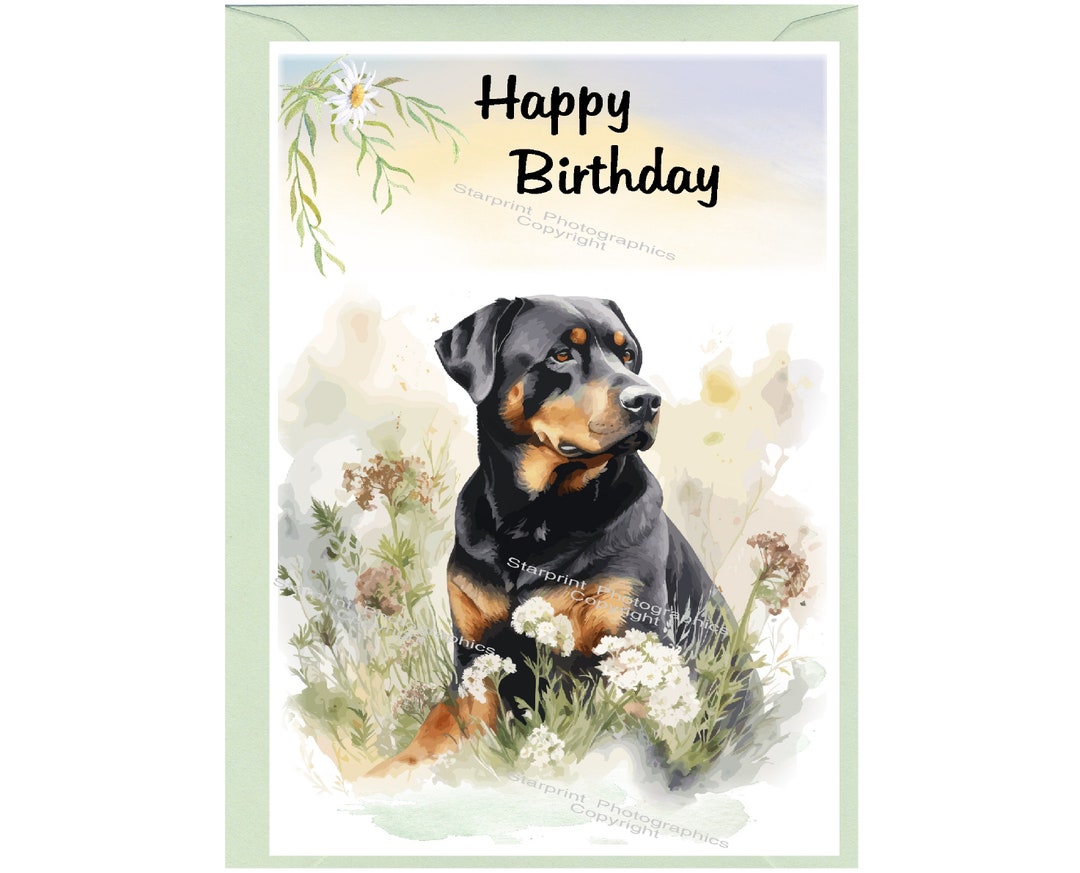 Rottweiler Dog "happy Birthday" Card (6"x 4") With Envelope. Blank ...