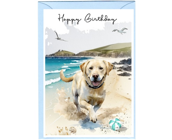 Happy Lab Dog Pictures